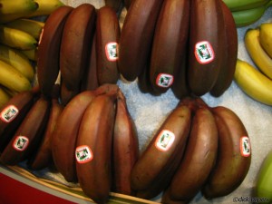 Fruit – Bananen | Alles over Groenten en Fruit