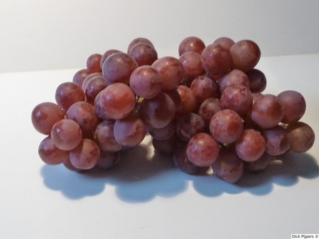 Fruit – Druiven | Alles over Groenten en Fruit