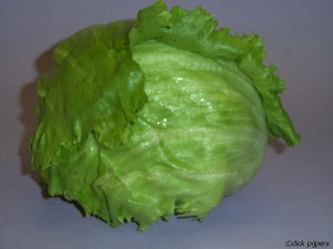 Groenten – Sla/-soorten | Alles over Groenten en Fruit
