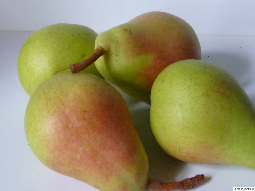 Fruit – Peren – Rassen | Alles over Groenten en Fruit