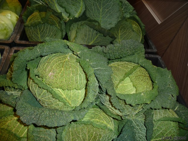 Groenten – Kool/Sluitkool | Alles over Groenten en Fruit