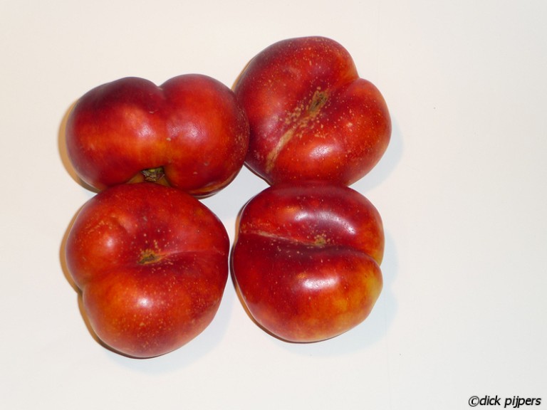 Fruit – Perziken | Alles over Groenten en Fruit